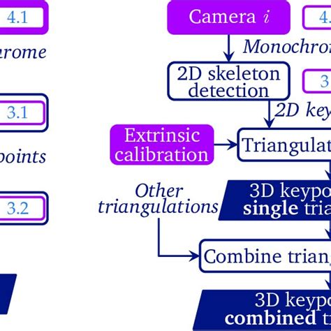 block diagram of the 3d skeletonization algorithms with section download scientific diagram
