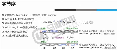 python中的bytes与bytearray详解 python bytes数组 csdn博客