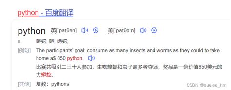 少儿python编程1 python简介 csdn博客
