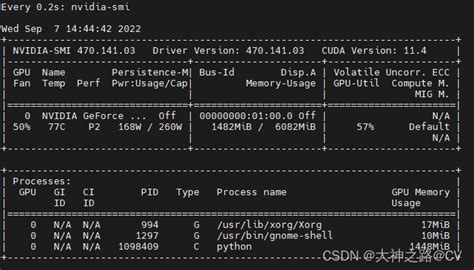 有关Pytorch训练时Volatile Gpu Util GPU利用率 很低而Memory ueage 内存占比 很高的情况解释与说明