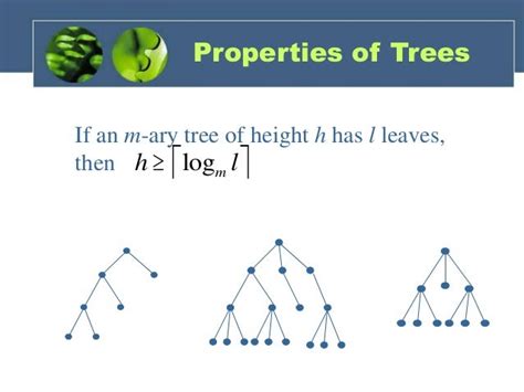 discrete mathematics tree