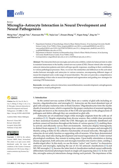 PDF MicrogliaAstrocyte Interaction In Neural Development And Neural