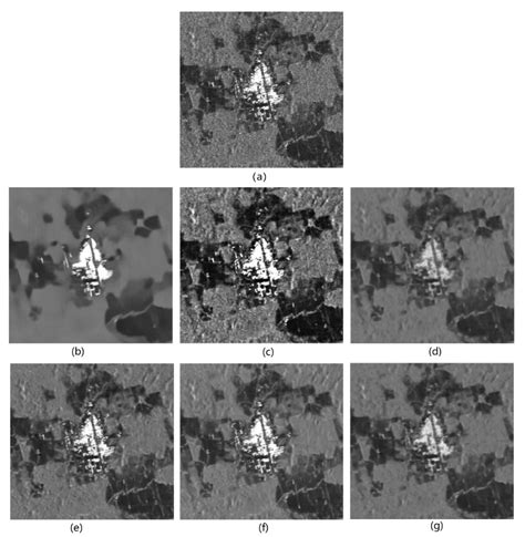 remote sensing free full text sar image despeckling based on block matching and noise