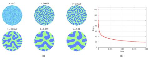 color figure a snapshots from a simulation of spinodal download scientific diagram