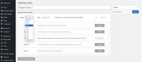 How To Add Custom Fonts To Elementor In 2024 Easy Guide