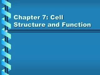 Ppt Chapter Cell Structure And Function Powerpoint Presentation