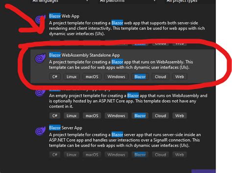 Visual Studio NET 8 Cors On Blazor Web Assembly Standalone Stack
