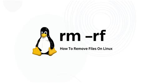 Rm Rf Linux How To Remove Files Copahost