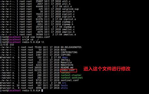 【redis】redis安装教程and基本操作语法 安装redis csdn博客