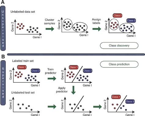 Unsupervised And Supervised Clustering A Unsupervised Clustering