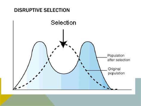 ppt more selection powerpoint presentation free download id 2122443