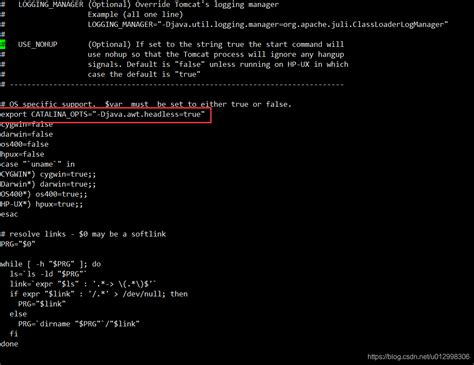 java lang noclassdeffounderror could not initialize class org apache batik bridge cursormanager