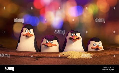 Penguins Of Madagascar From Left Kowalski Voice Chris Miller Skipper Voice Tom Mcgrath