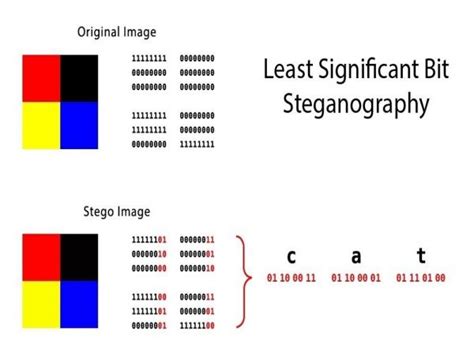 Fruit Disease Detection Using Image Procesing Matlab
