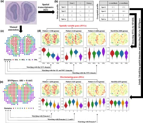 figure 1 from bayesian nonparametric clustering with feature selection for spatially resolved
