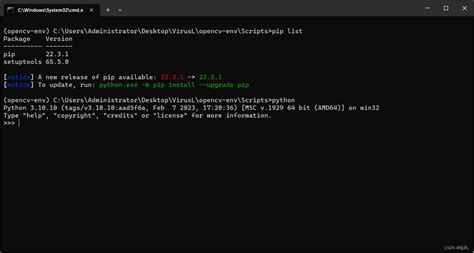 在windows中利用python的venv和virtualenv创建虚拟环境 windows python venv csdn博客