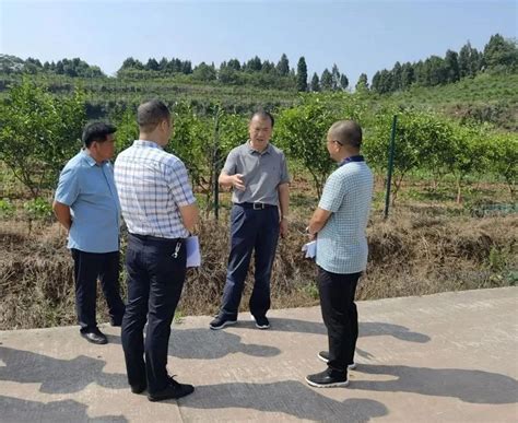 詹庆调研耕地非农化非粮化及撂荒地专项整治情况