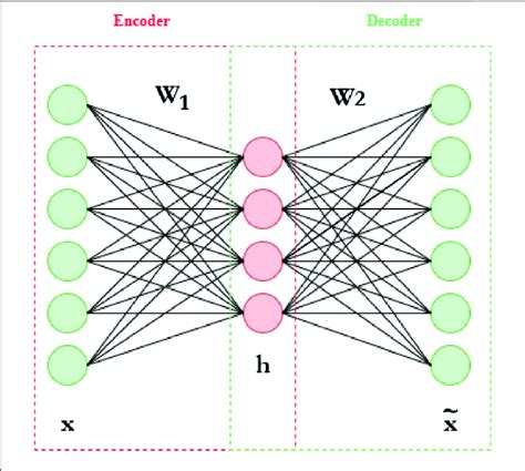 typical autoencoder architecture download scientific diagram