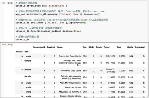 python缺失值处理案例分析 泰坦尼克数据 程序员大本营
