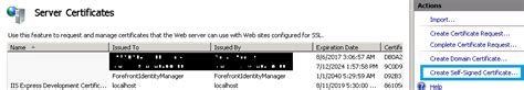 How To Create Self Signed Certificate On IIS Server SharePoint