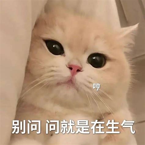 日常搞笑表情包 I 吃啥呢 给我掰点 熊猫头 向厚 男人