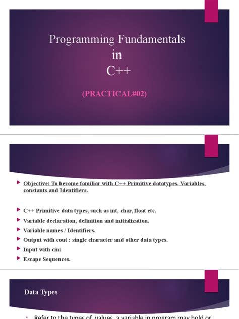 programming fundamentals practical 02 pdf integer computer science data type