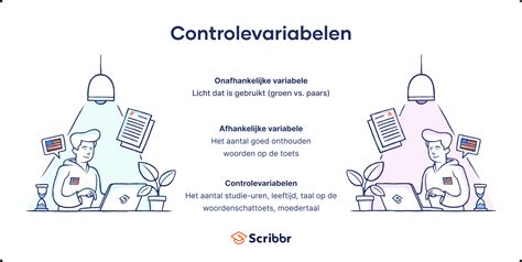 controlevariabelen in je scriptie onderzoek met voorbeelden