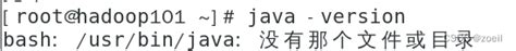 linux安装jdk详细步骤 linux安装jdk21 csdn博客