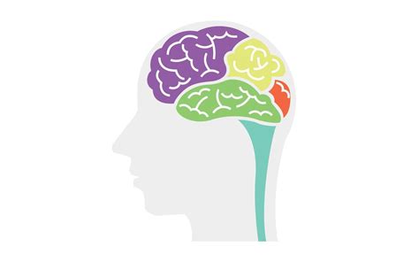Creative Vector Illustration Of Mind Map Infographic Template Isolated