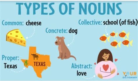 Write Different Kinds Of Nouns Give 2 Examples Each And Support It