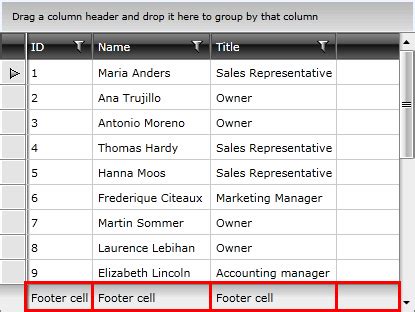 WPF DataGrid Column Footers Telerik UI For WPF