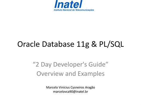 pdf oracle database 11g and pl sql github pages database 11g and pl sql “2 day developer s guide
