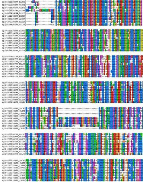 multiple sequence alignment of gyrase subunit a using clustalx download scientific diagram