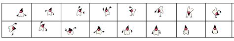OOD Cell Mitosis W StdDraw Mrs Elias S Intro To Computers Acc