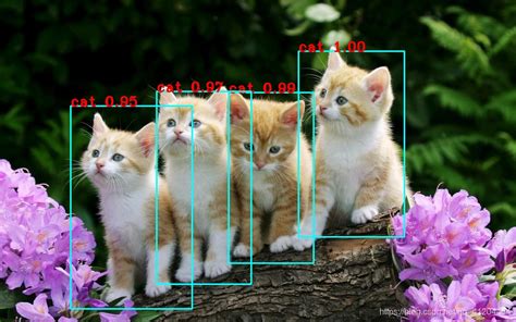 yolov3物体 目标检测之实战篇（windows系统、python3、tensorflow2版本） python黑洞网
