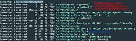 linux系统中python默认版本为python2 7，修改为python3 项目上传码云 csdn博客