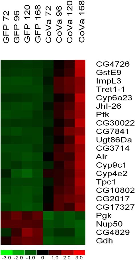 Microarray Expression Profiling Identifies Genes Differentially