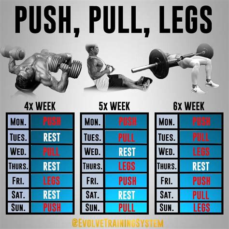 6 Day 5 Day Push Pull Workout At Home With Comfort Workout Clothes Fitness And Workout Abs
