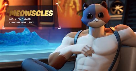 Fortnite Meowscles And Kit