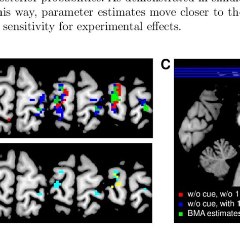 model averaging for general linear models in fmri data analysis this download scientific