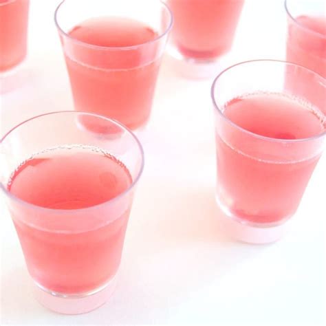 Wet Pussy Shot — Chef Iso
