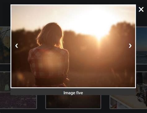 dynamic jquery gallery lightbox plugin simple gallery free jquery plugins