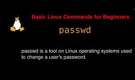 Passwd Command In Linux With Examples DevopsRoles Free 2024