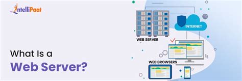 What Is Web Server Working Types And Examples Web Development