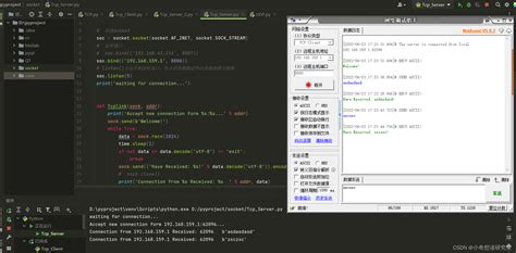 tcp 通信详解 以及代码实现（python）（附可用源码） python tcp通信 csdn博客