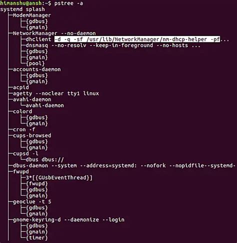 Linux Pstree Command Tutorial For Beginners 8 Examples