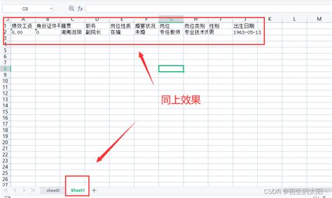 js实现导出excel包含多个sheet（实现导出多个表格） js export excel导出两张表 csdn博客