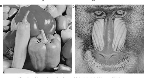 figure 1 from a data hiding scheme using the varieties of pixel value differencing in multimedia