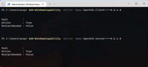 How To Install OpenSSH On Windows