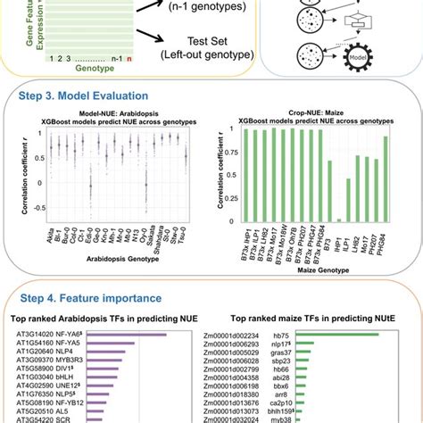 evolutionarily informed machine learning models uncover download scientific diagram
